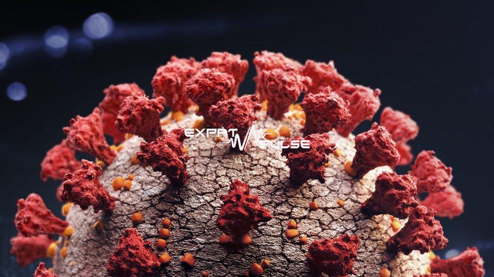 New Mutant Coronavirus Strain Information Revealed